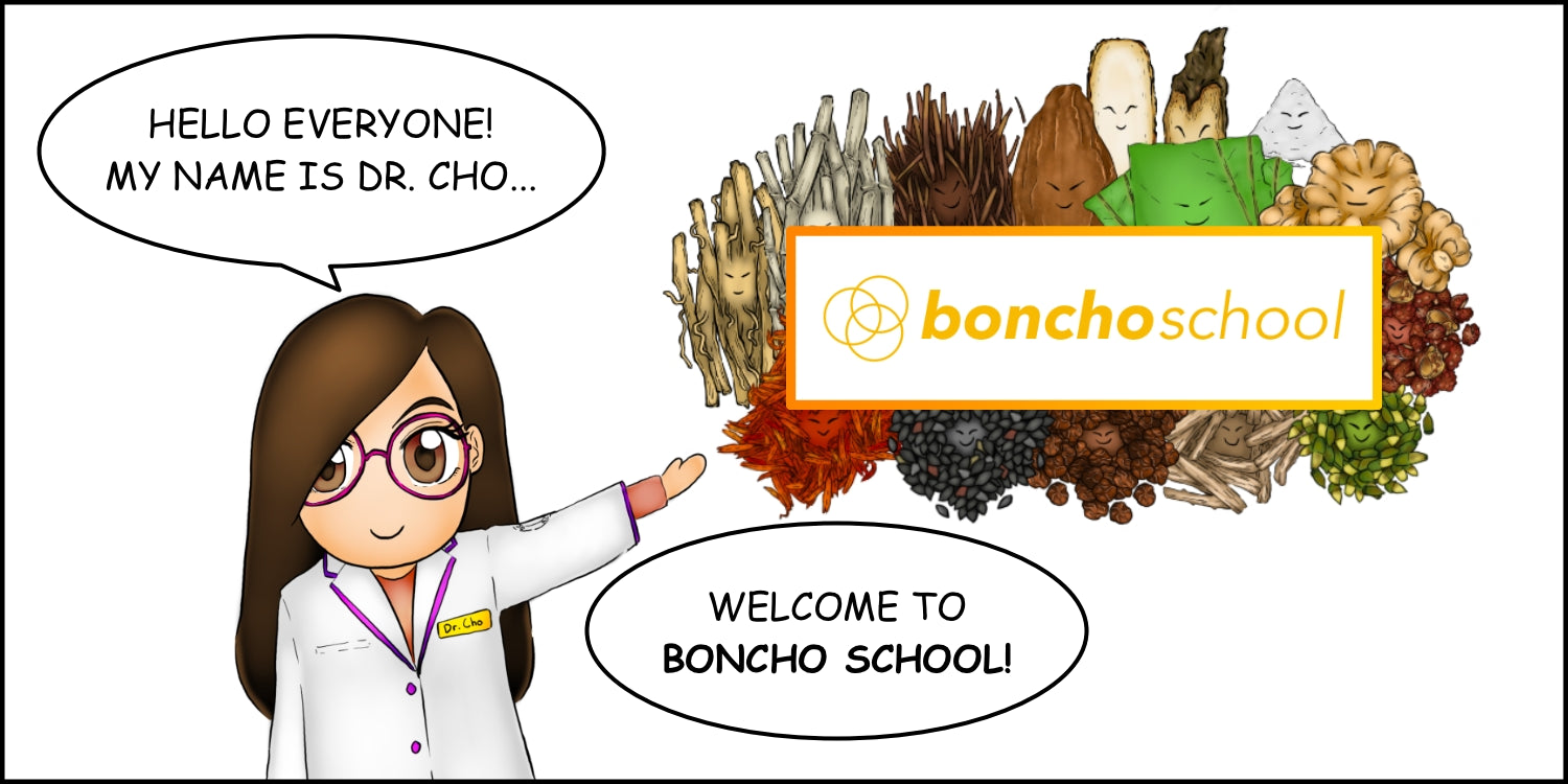 Boncho Comics – Boncho Friends