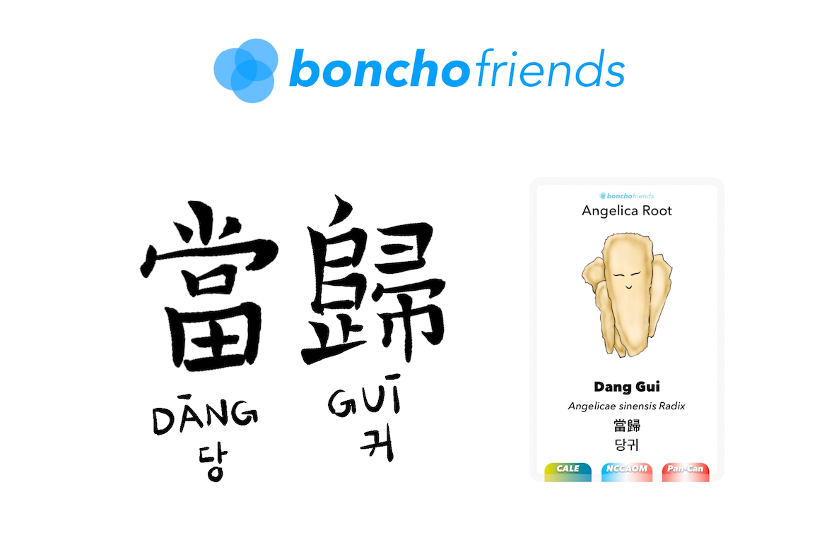 Dang Gui – Boncho Friends