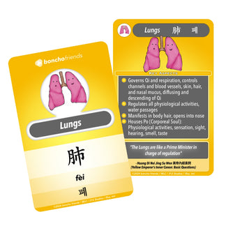 Foundations Deck – Boncho Friends