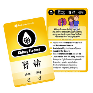 Foundations Deck – Boncho Friends